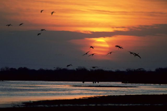 Incredible Sunsets (33 pics) - Izismile.com