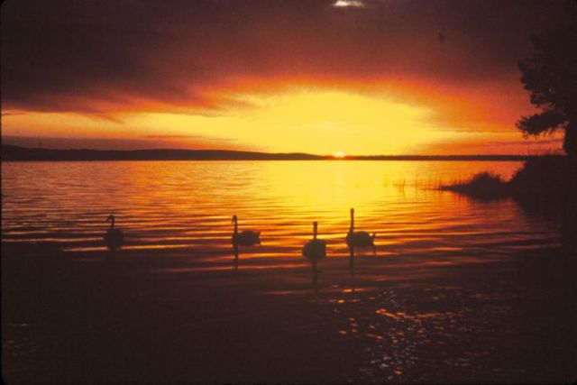 Incredible Sunsets (33 pics) - Izismile.com