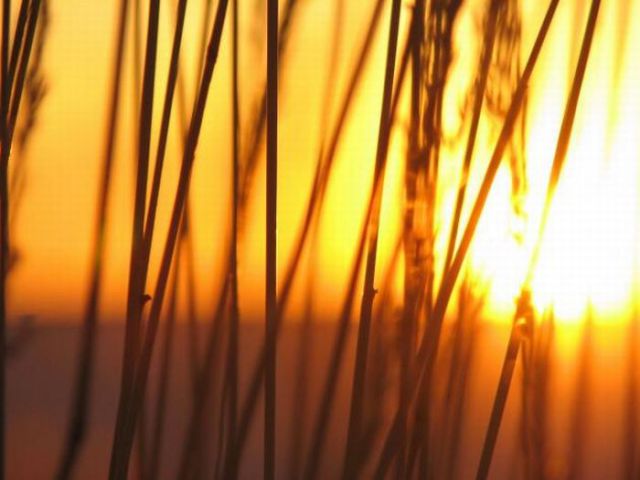 Incredible Sunsets (33 pics) - Izismile.com