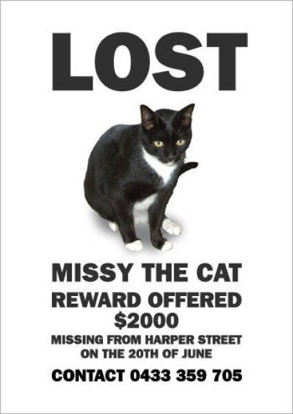 Hilarious Missing Cat Posters 19 Pics Izismile