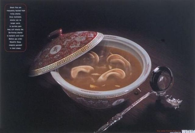 Shocking and Scary Ads (34 pics) - Izismile.com