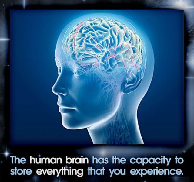 Up Your General Knowledge With These Fun Facts 50 Pics Izismile