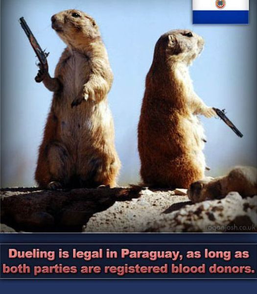 Up Your General Knowledge With These Fun Facts 50 Pics Izismile