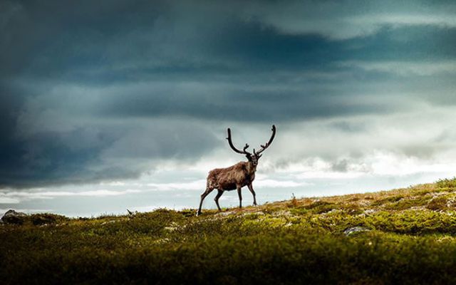 Magnificent Nature Photography (35 pics) - Izismile.com