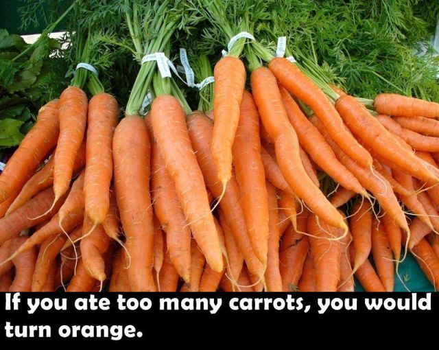 Astonishing Facts That Are Really Interesting to Know (19 pics ...