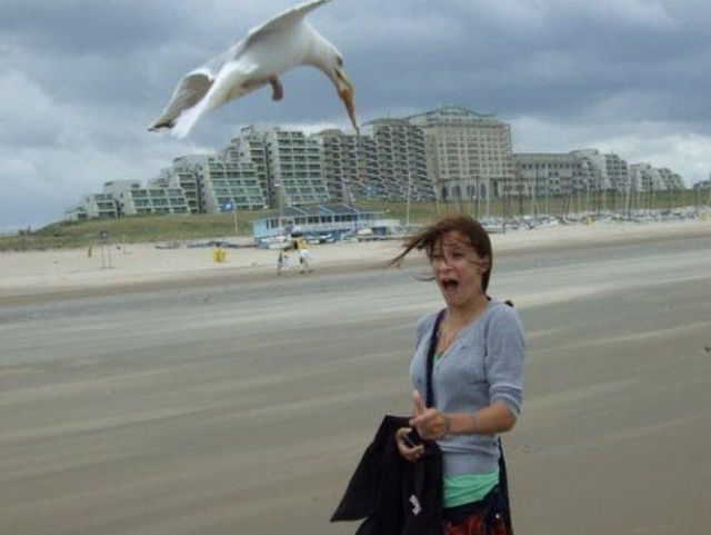 Instagram Pics of the Beach vs. the Beach in Real Life (31 pics + 3 ...