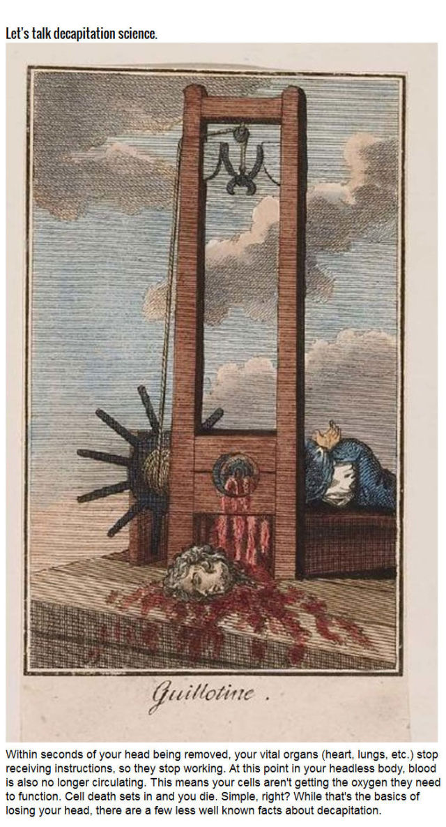 The Factual and Scientific History of Decapitation (10 pics) - Izismile.com