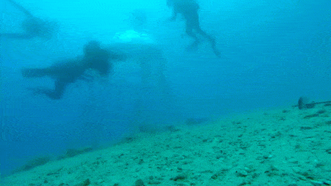 Underwater Greenhouses are the Way of the Future (3 pics + 2 gifs ...