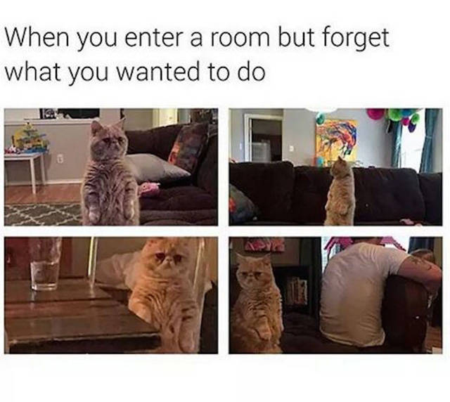 Amusing Memes to Make You Laugh out Loud (37 pics) - Izismile.com