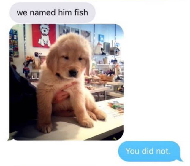 Kids Get Their First Pet “Fish” But It’s Not What You’d Expect (4 pics ...