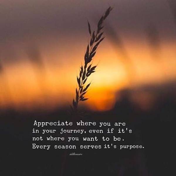 Your Morning Dose Of Motivation To Keep You Going (40 pics) - Izismile.com