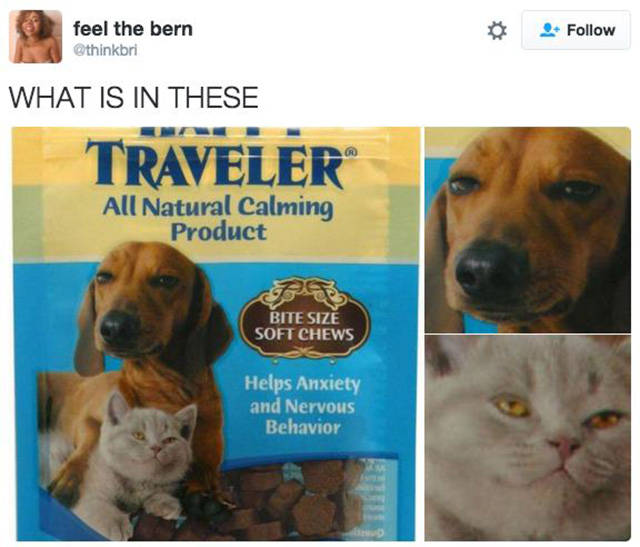 Totally Innocent And Harmless Pics That Will Crack You Up (23 pics ...