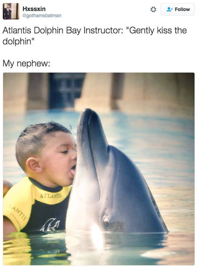 Totally Innocent And Harmless Pics That Will Crack You Up (23 pics ...