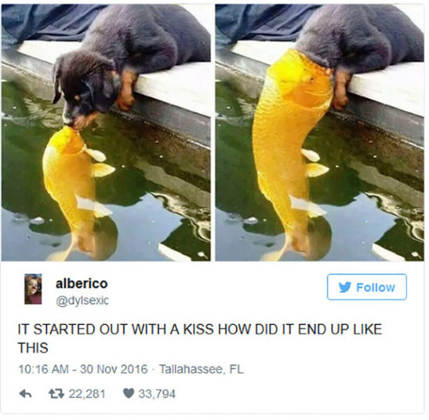 These People Fail In 2016 Almost To The Point Of No Return (26 pics ...